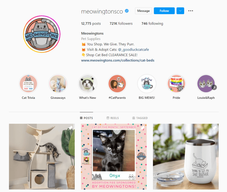 Instagram Dropshipping - The Full Guide & Top Examples